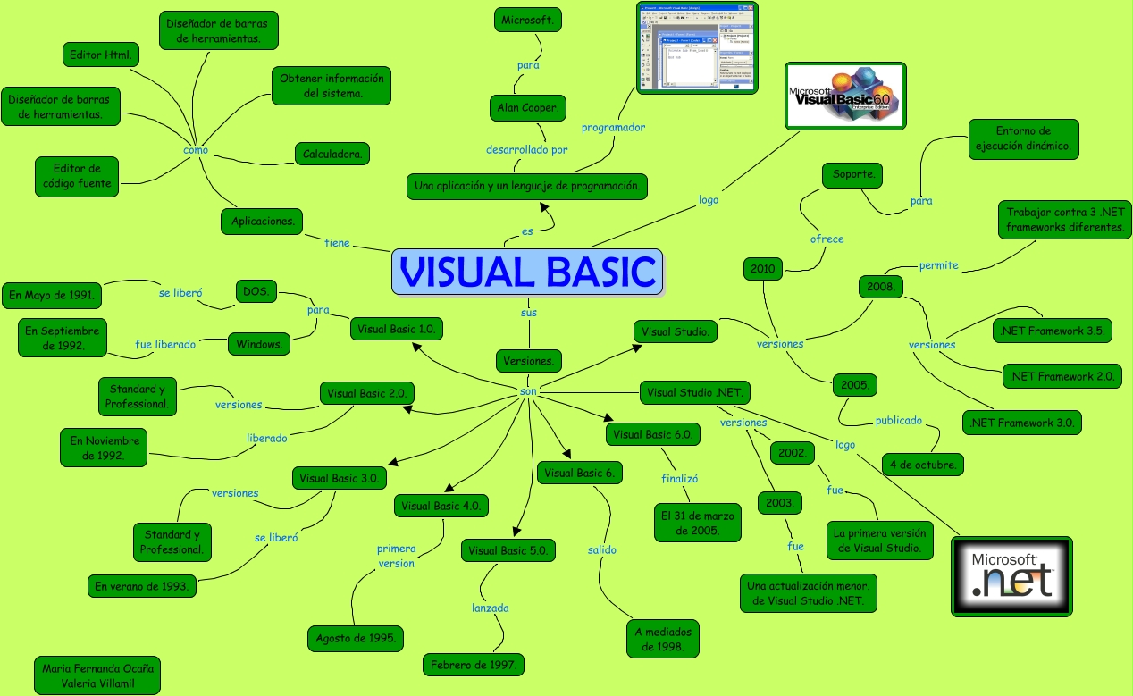 visual basic